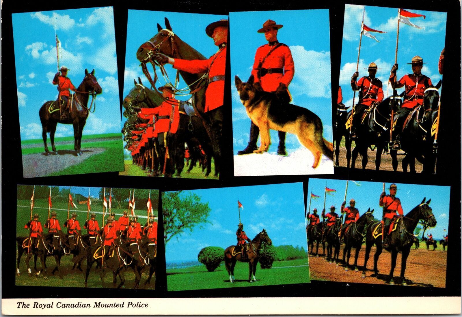 Vintage Continental Postcard the Royal Canadian Mounted Police a ...