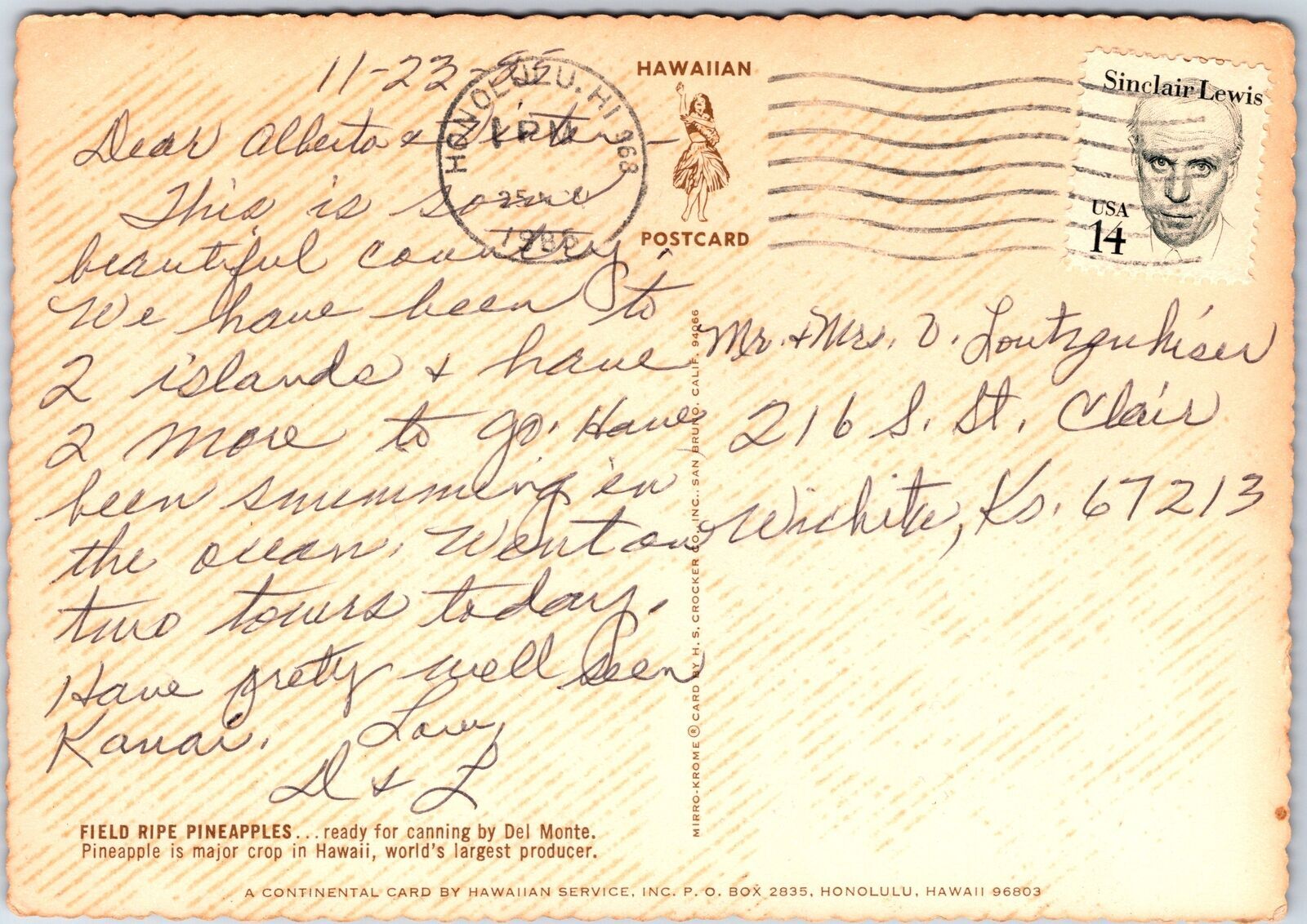 Vintage Continental Sized Postcard Field of Ripe Pineapples in Hawaii ...