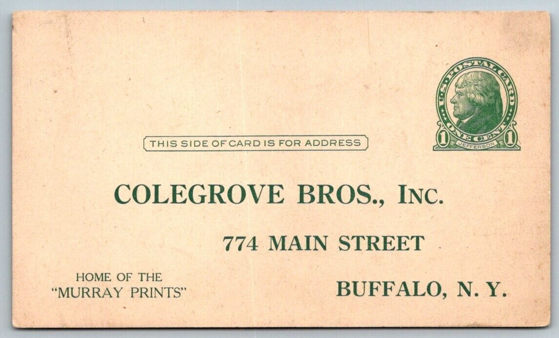 Buffalo New York Colegrove Bros. Home of "Murray Prints" Postcard ...