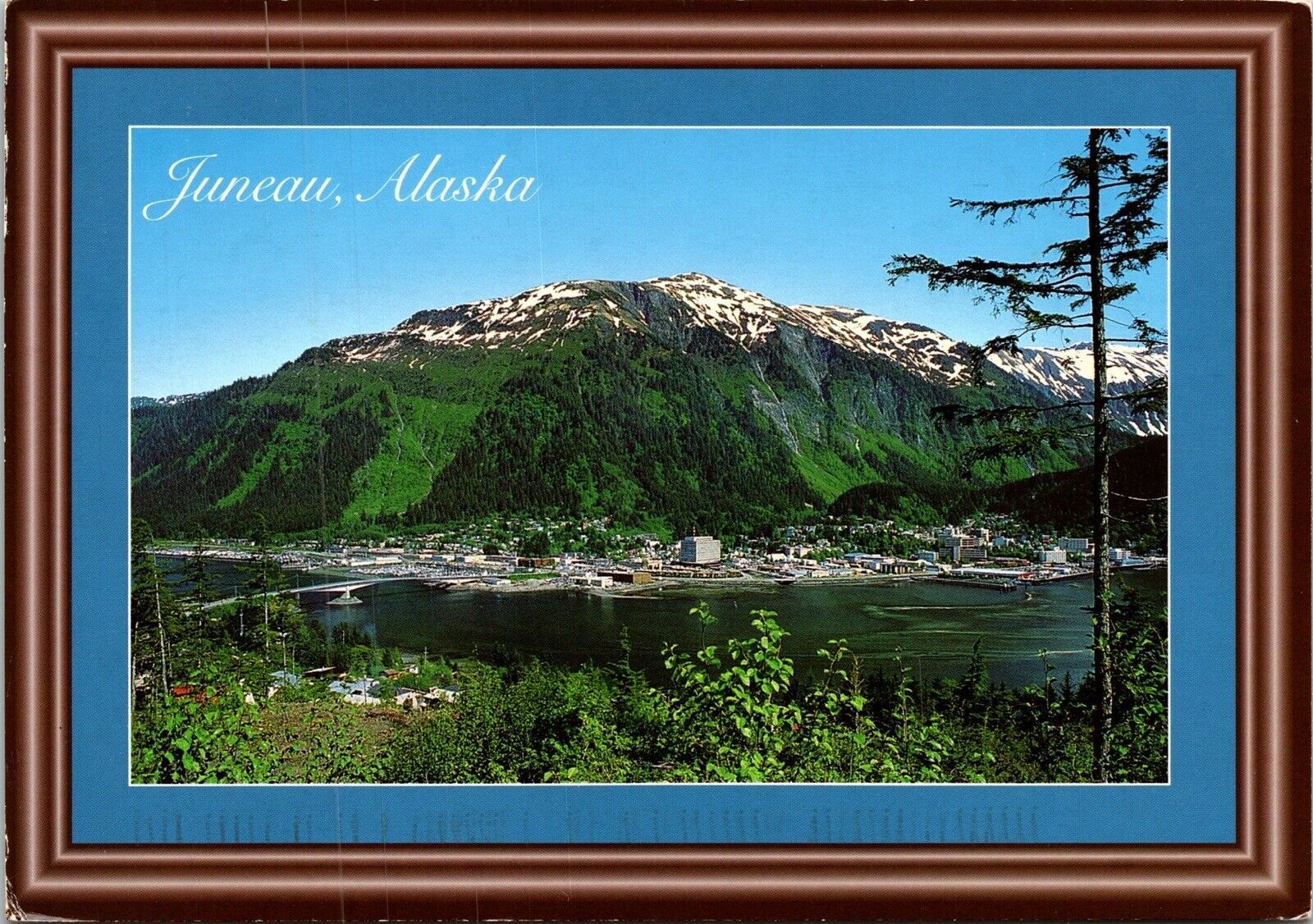 Juneau Alaska Capital Tongass National Forest Landscape Chorme Postcard ...
