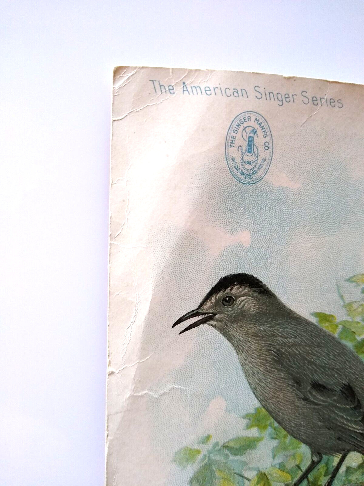 American Singer Sewing Machine Series Victorian Trade Card Cat-Bird Egg ...