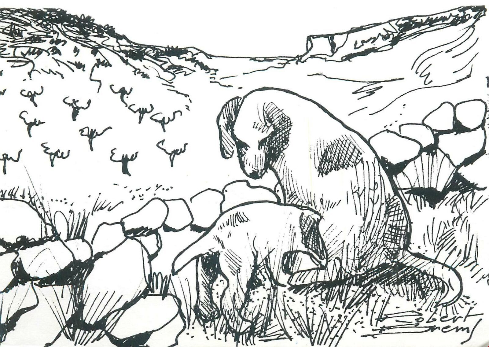 Animals in Art signed Postcard L'Ardeche by Robert Brems dogs drawing ...