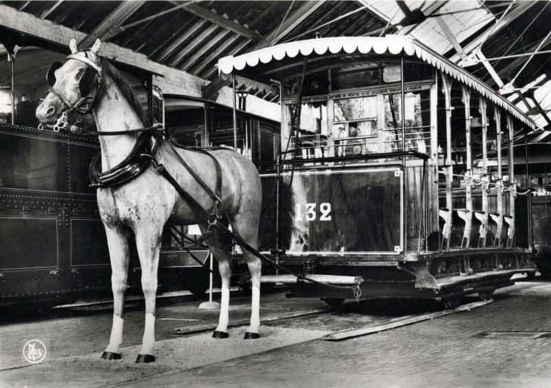 Vintage Continental Sized Postcard Real Photo Tramway Museum Schepdaal ...
