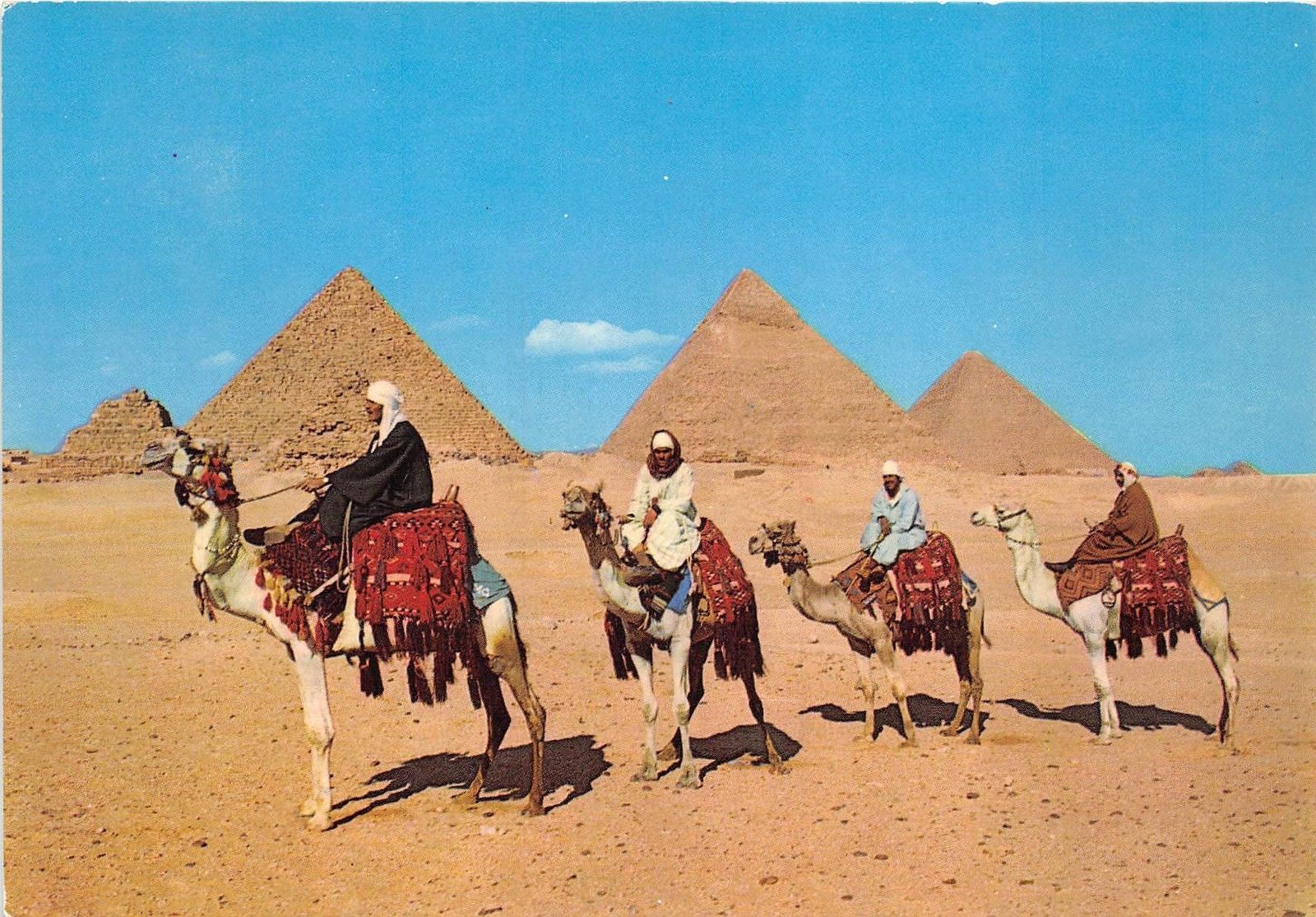 BG20912 camel types giza arab cameriders in front of the pyramids egypt ...