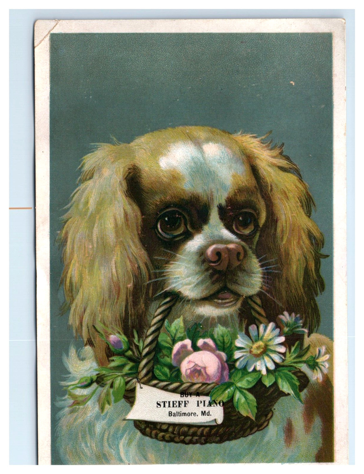 1880s-90s Stieff Pianos Grand & Upright H.I. Shank Agt. Cute Spaniel ...