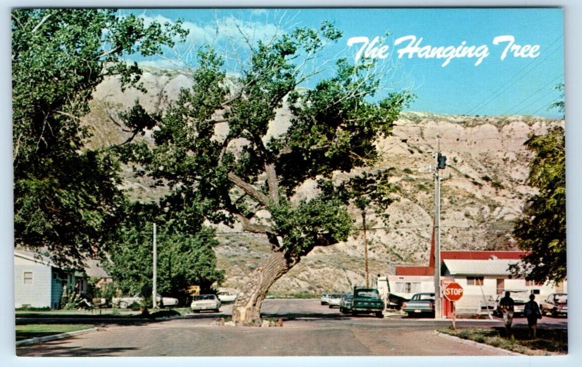 The Hanging Tree MEDORA North Dakota Postcard | United States - North ...