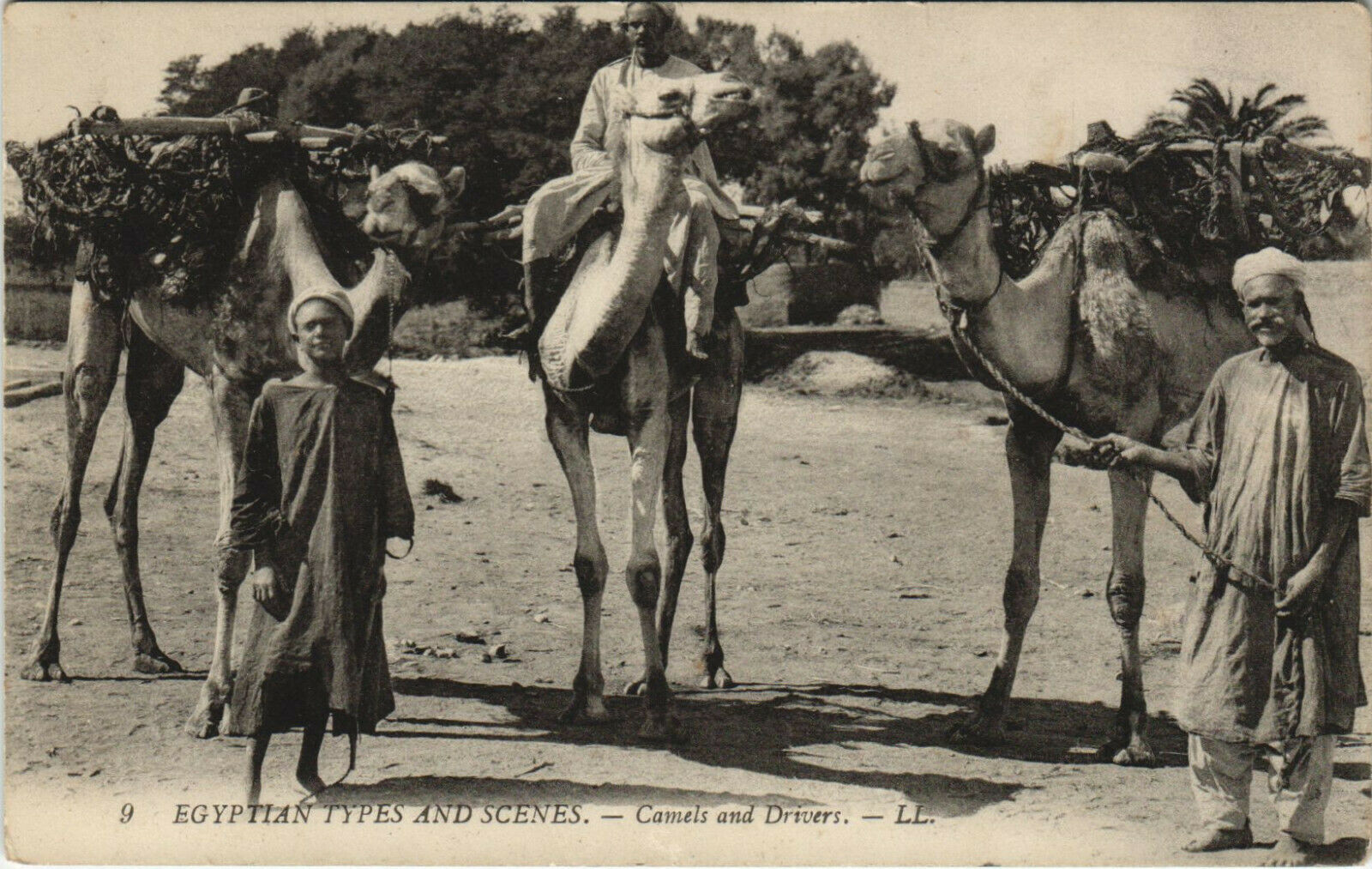 PC EGYPT, TYPES AND SCENES, CAMELS AND DRIVERS, Vintage Postcard ...