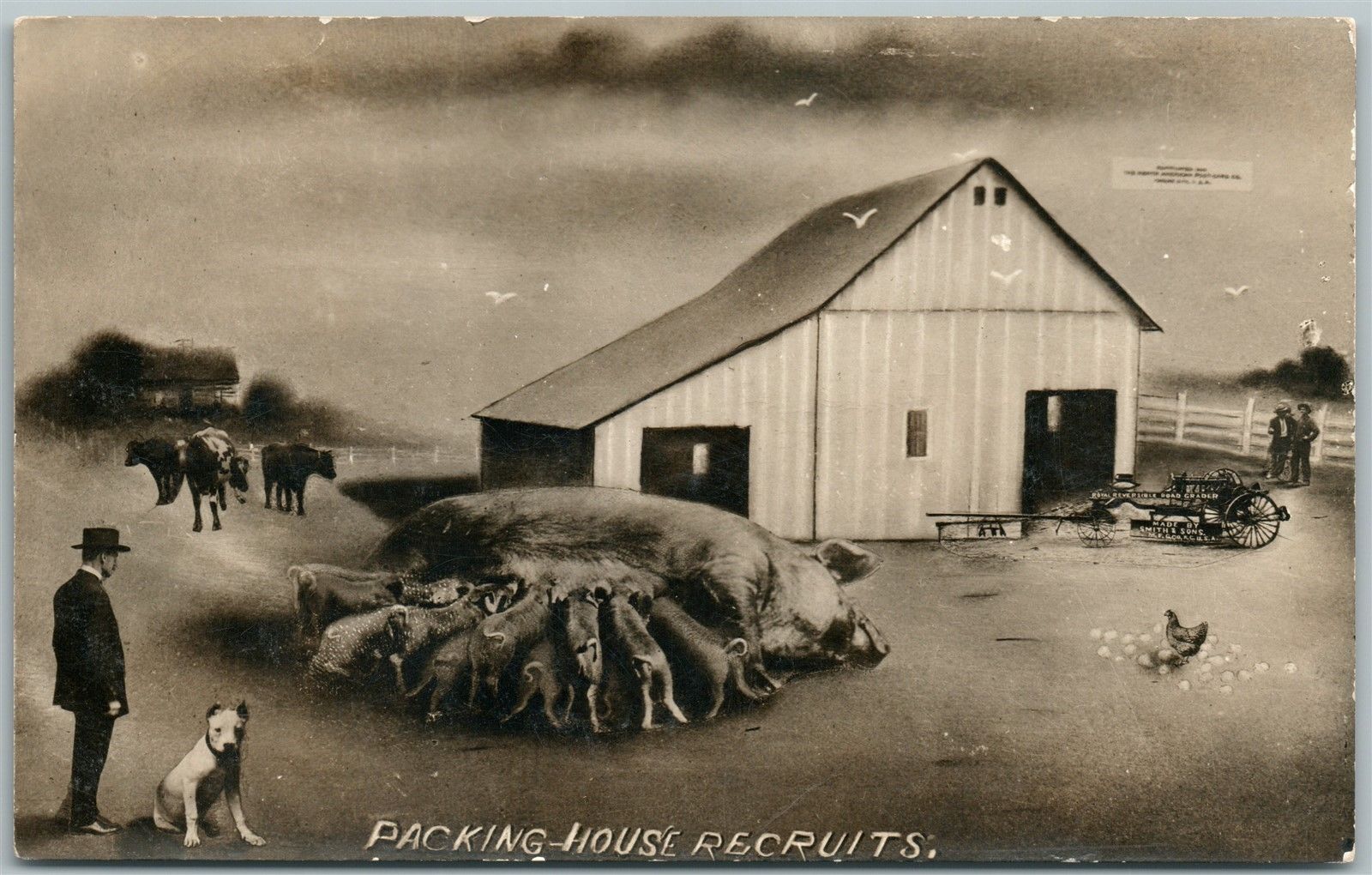Mother PIG W/ Piglets Packing House Recruits Antique Real Photo ...