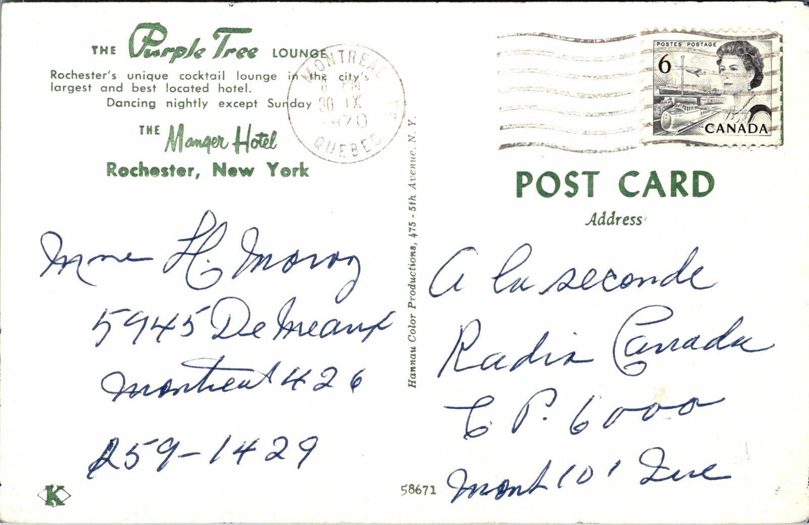 Vintage Postcard the Purple Tree Lounge at Manger Hotel Rochester New ...