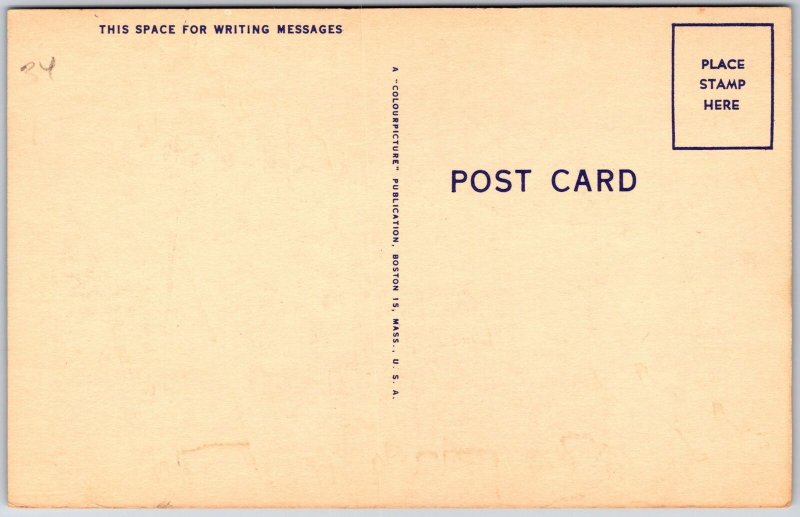 Sad Squirrel Washed Up "It's Hopeless I'm Still A Stinker" Comic Card ...