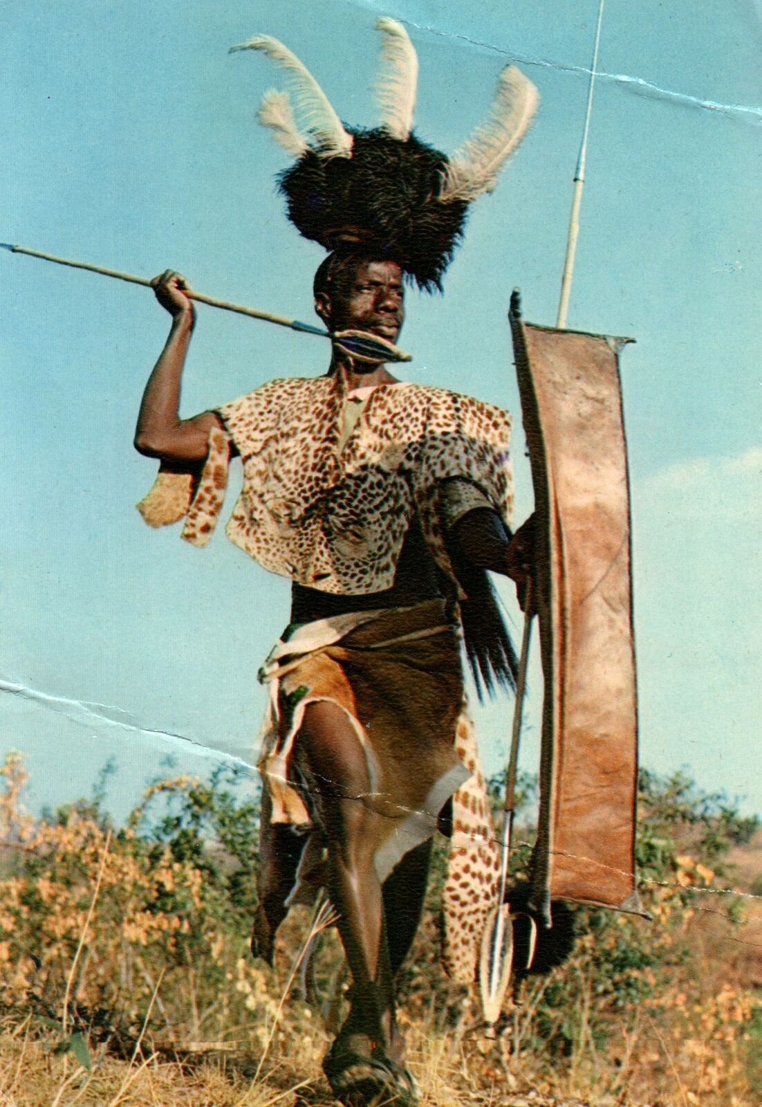 Vintage Continental Size Postcard Acholi MAN in Traditional Warrior's ...