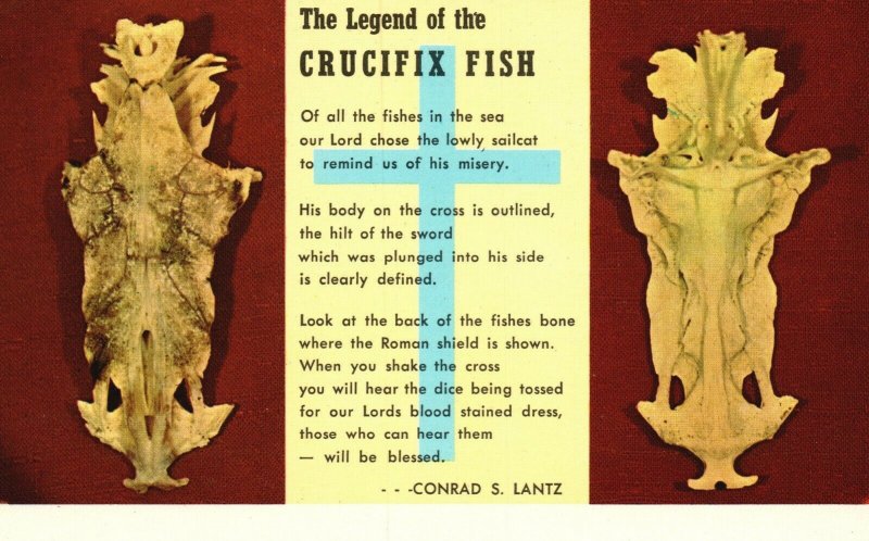 Vintage Postcard The Legend of the Crucifix Fish Religious Cross Conrad ...