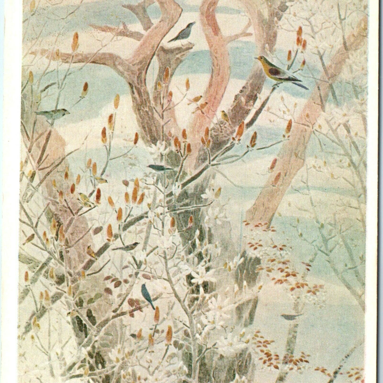 c1940s Japan Bird Painting Hana Yanabe Postcard 4th Ministry Education ...