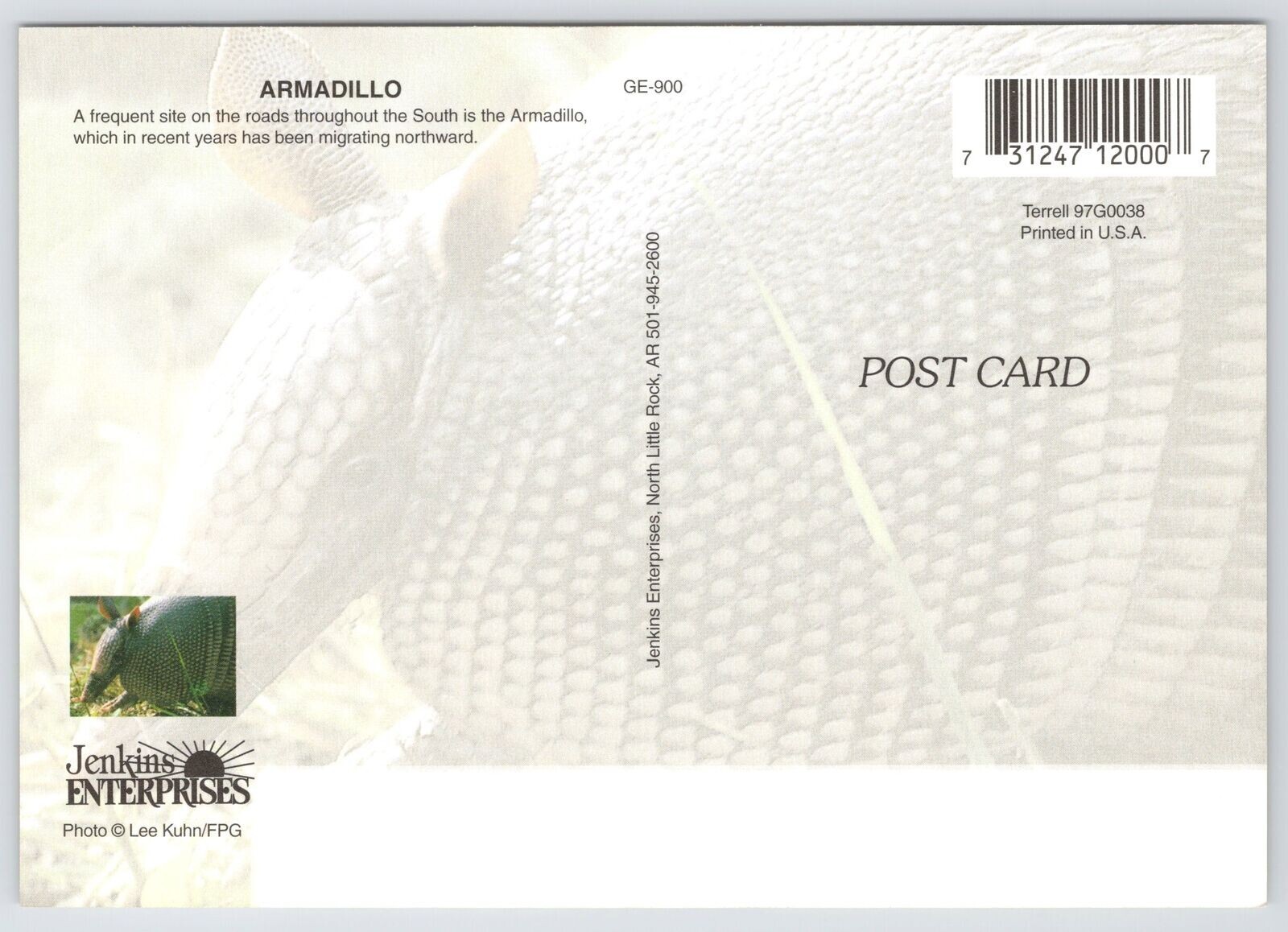 Animal~Armadillo~aka Hillbilly Speedbump~Leathery Armor Shell ...
