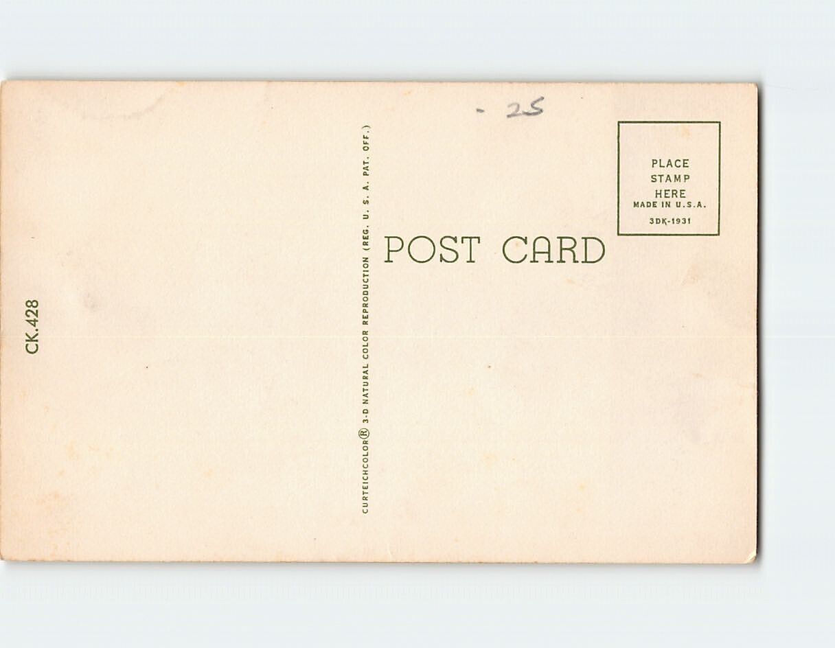 Postcard These Whoppers Snap at Anything | Other / Unsorted, Postcard ...