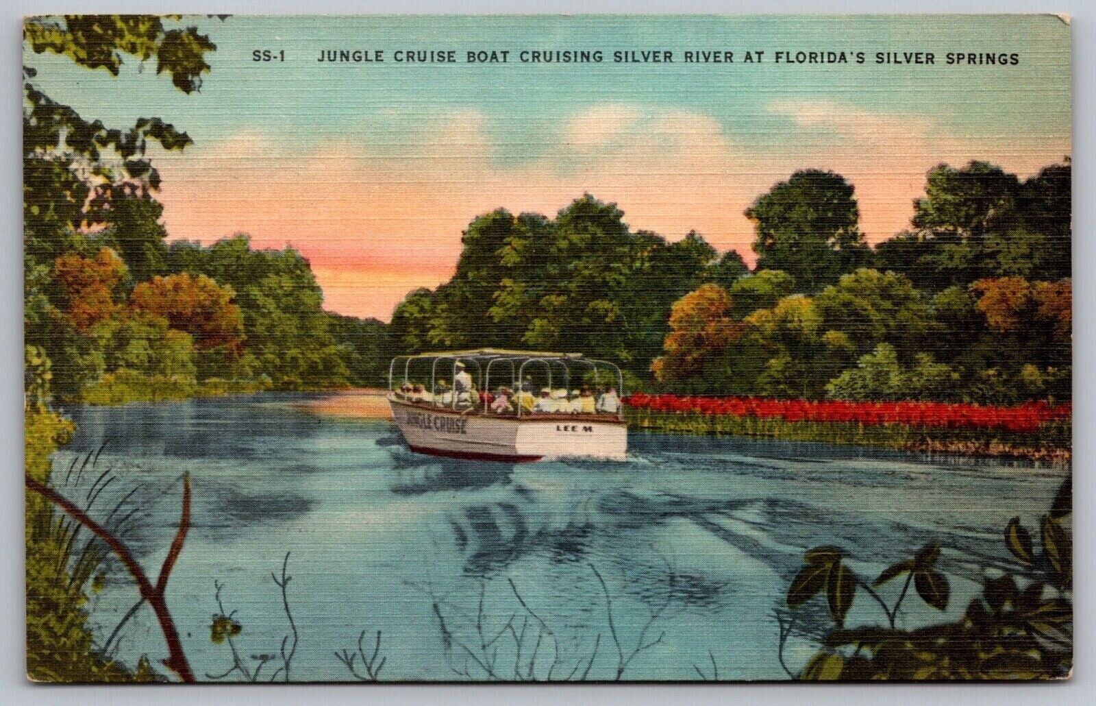 Silver Springs Florida Jungle Cruise Boat Cruising Scenic Linen ...