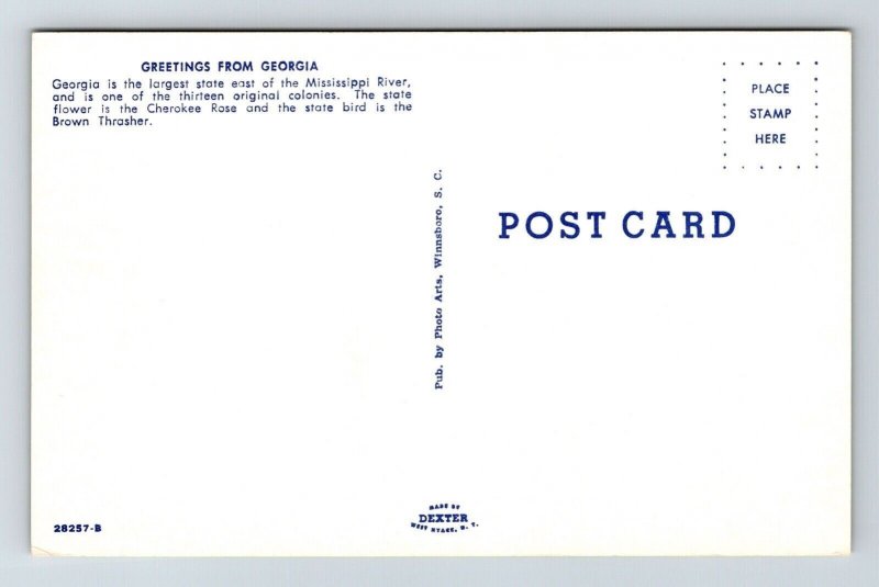 Greetings Georgia State Map Cities Cherokee Rose State Flower DB ...