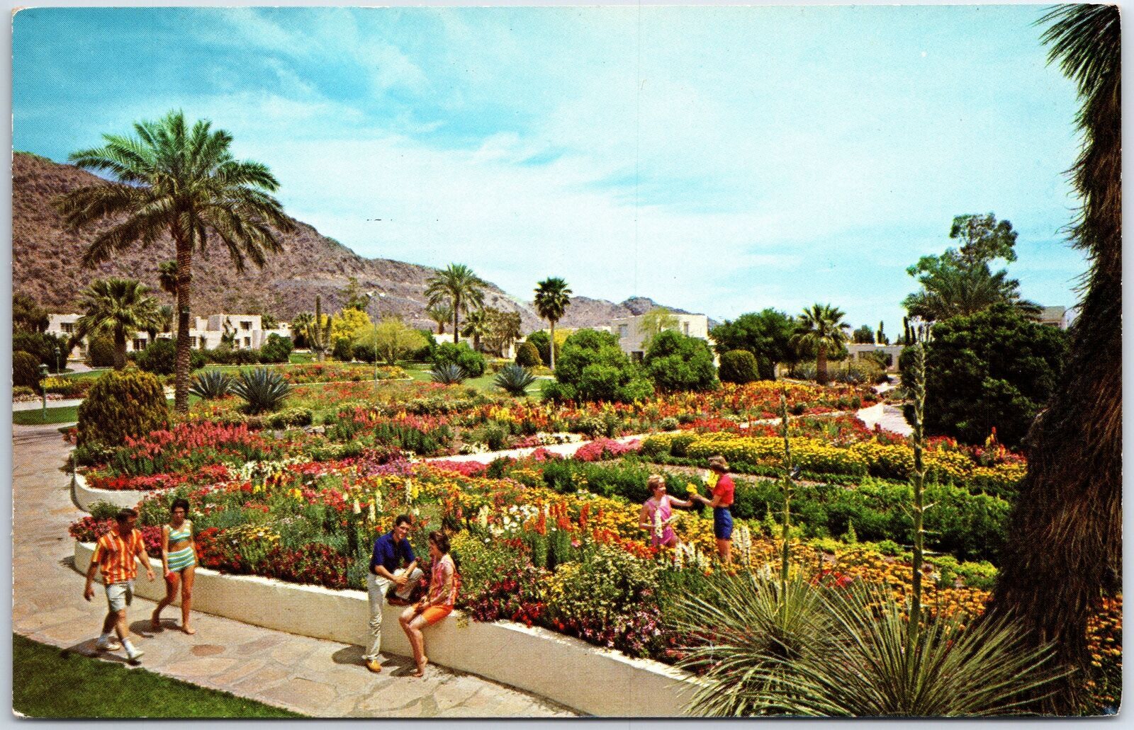 Vintage Postcard Grounds of the Camelback INN Near Phoenix Arizona ...