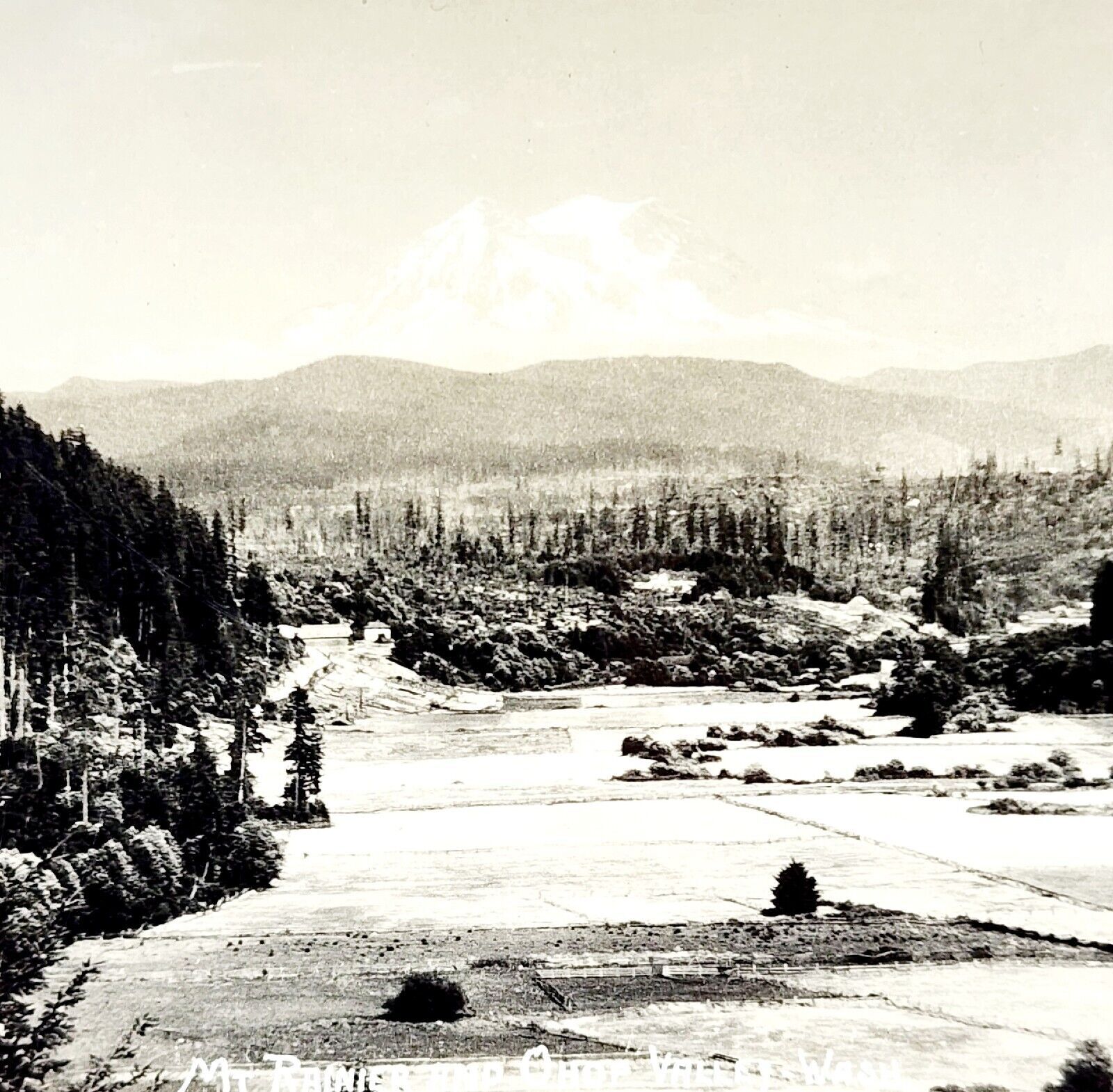 RPPC Mount Rainier From Ohop Valley Ellis 1920s Washington Pacific NW ...