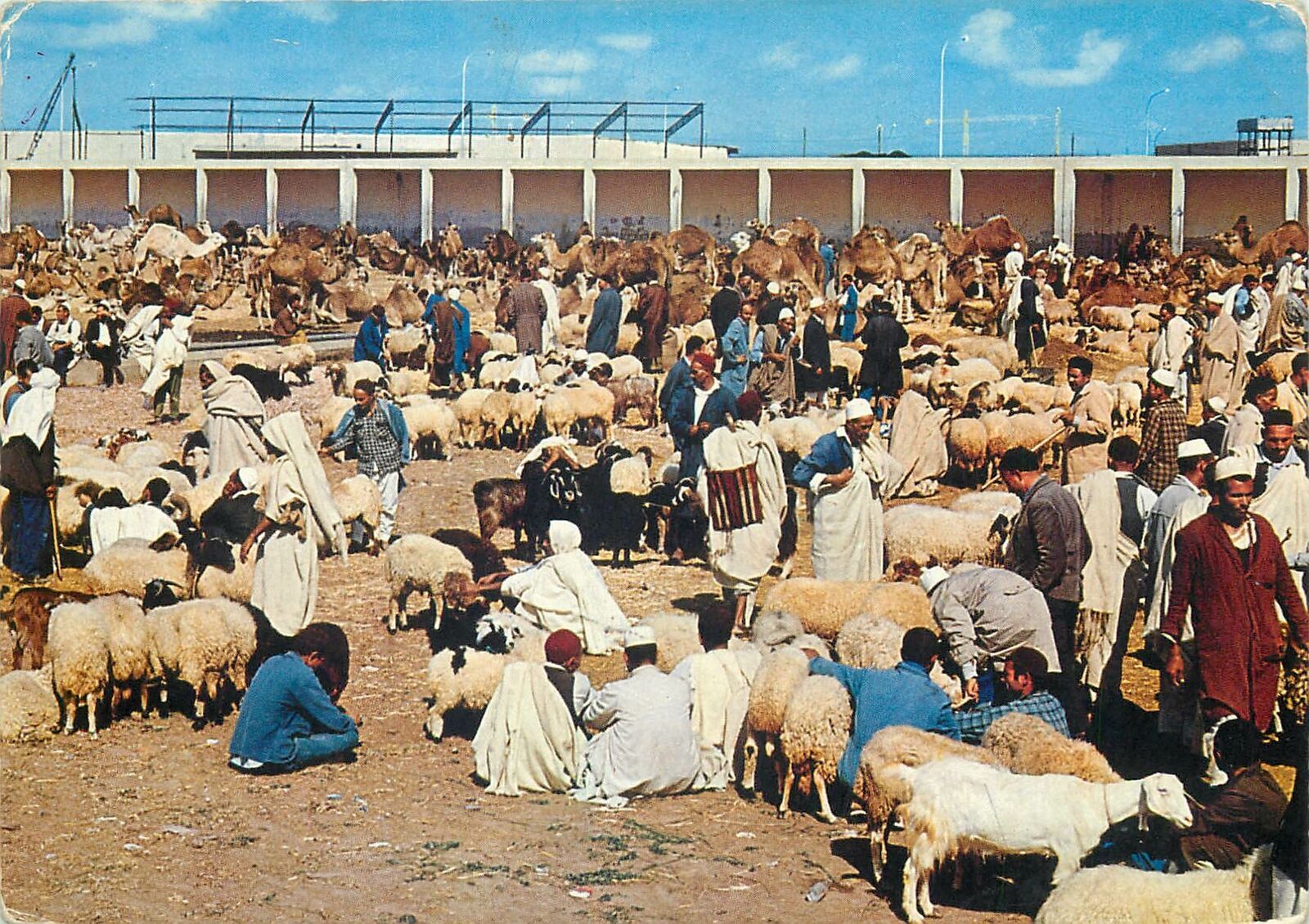 Postcard Libya general markets view ethnic types and scenes typical ...
