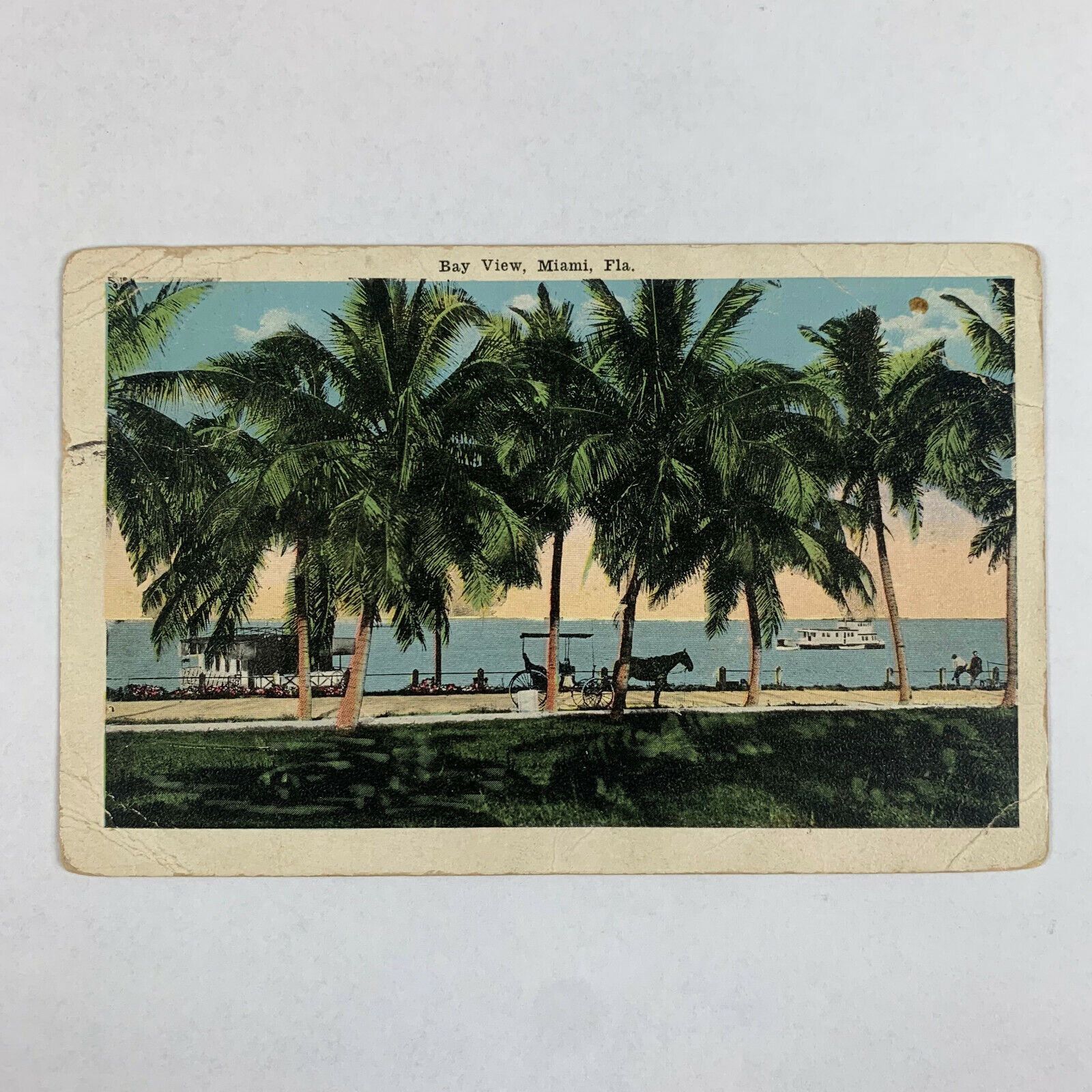 Postcard Florida Miami FL Bay View Horse Carriage 1920s Posted | United ...