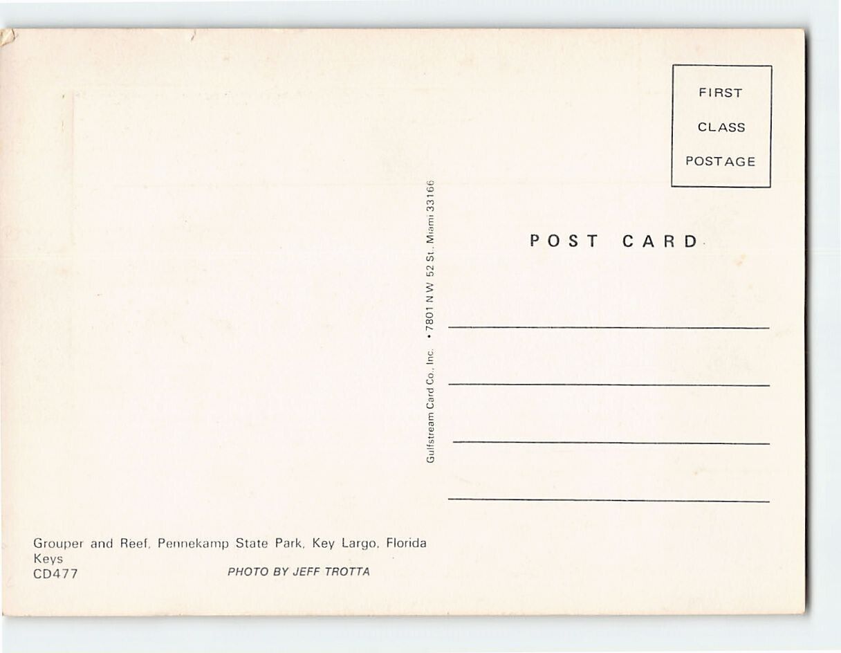 Postcard Grouper and Reef Pennekamp State Park Key Largo Florida ...