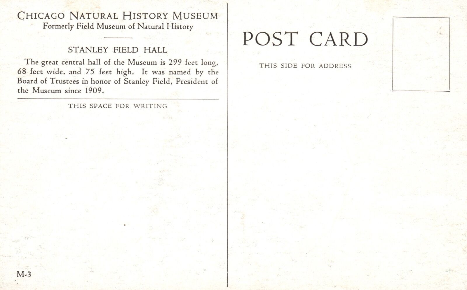 Vintage Postcard Stanley Field Hall Chicago Natural History Museum ...