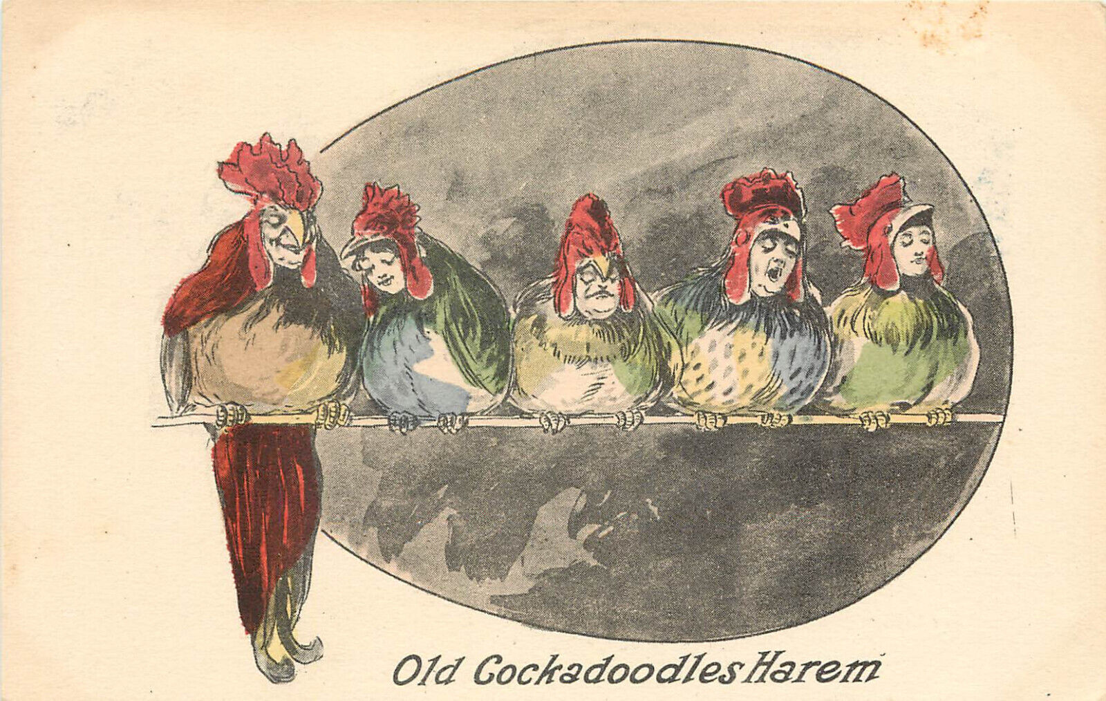 Postcard Anthropomorphic Chickens Old Cockadoodles Harem Rooster and ...
