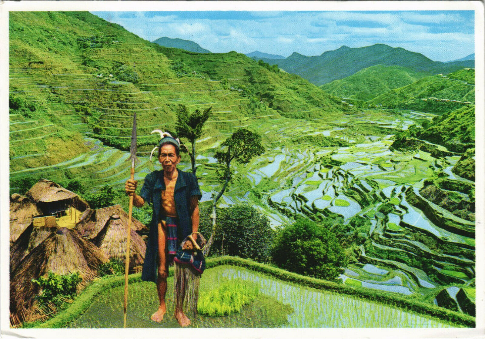PC Philippines, the Banawe Rice Terraces, Modern Postcard (B40281 ...