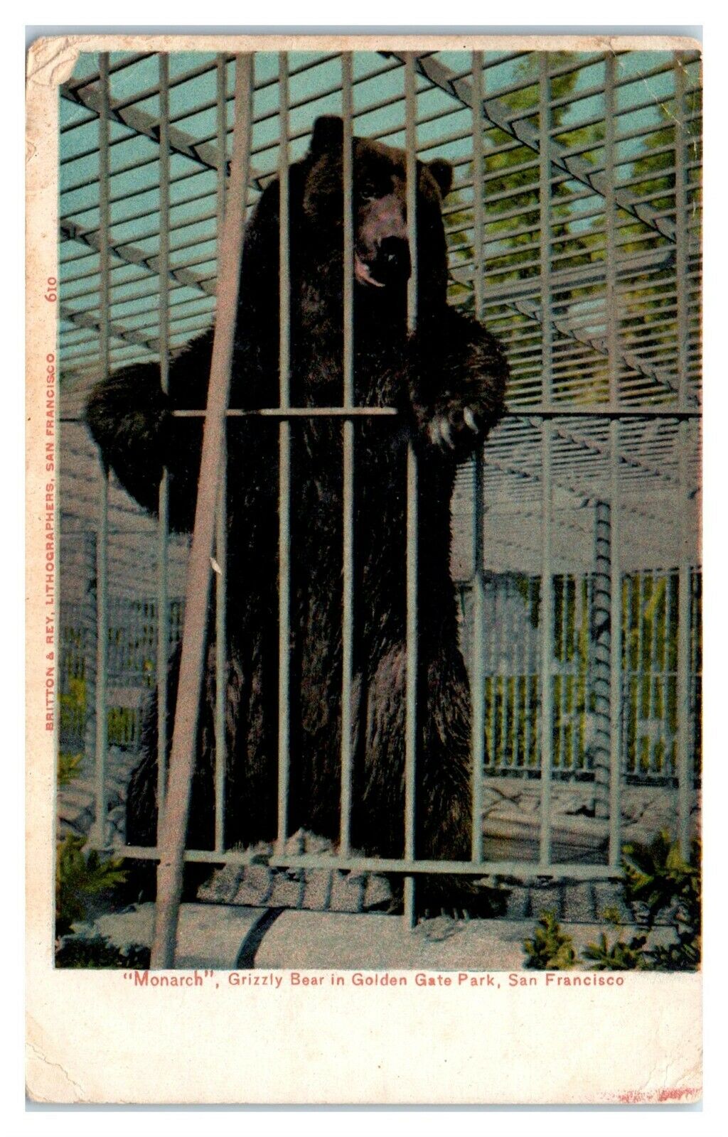 Monarch the Grizzly Bear, Golden Gate Park, San Francisco, CA Postcard ...