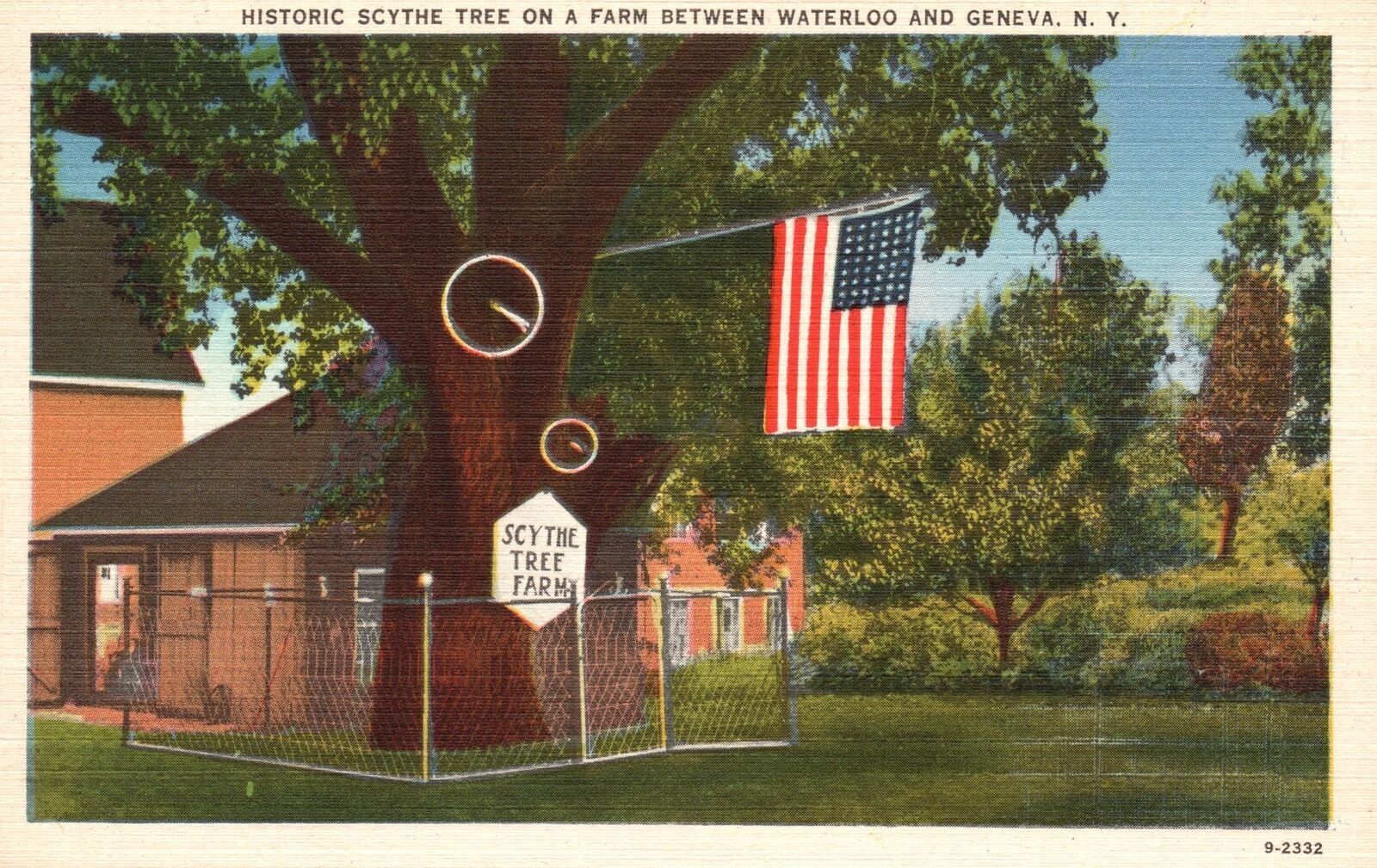 Vintage Postcard 1930's Historic Scythe Tree Waterloo And Geneva New ...
