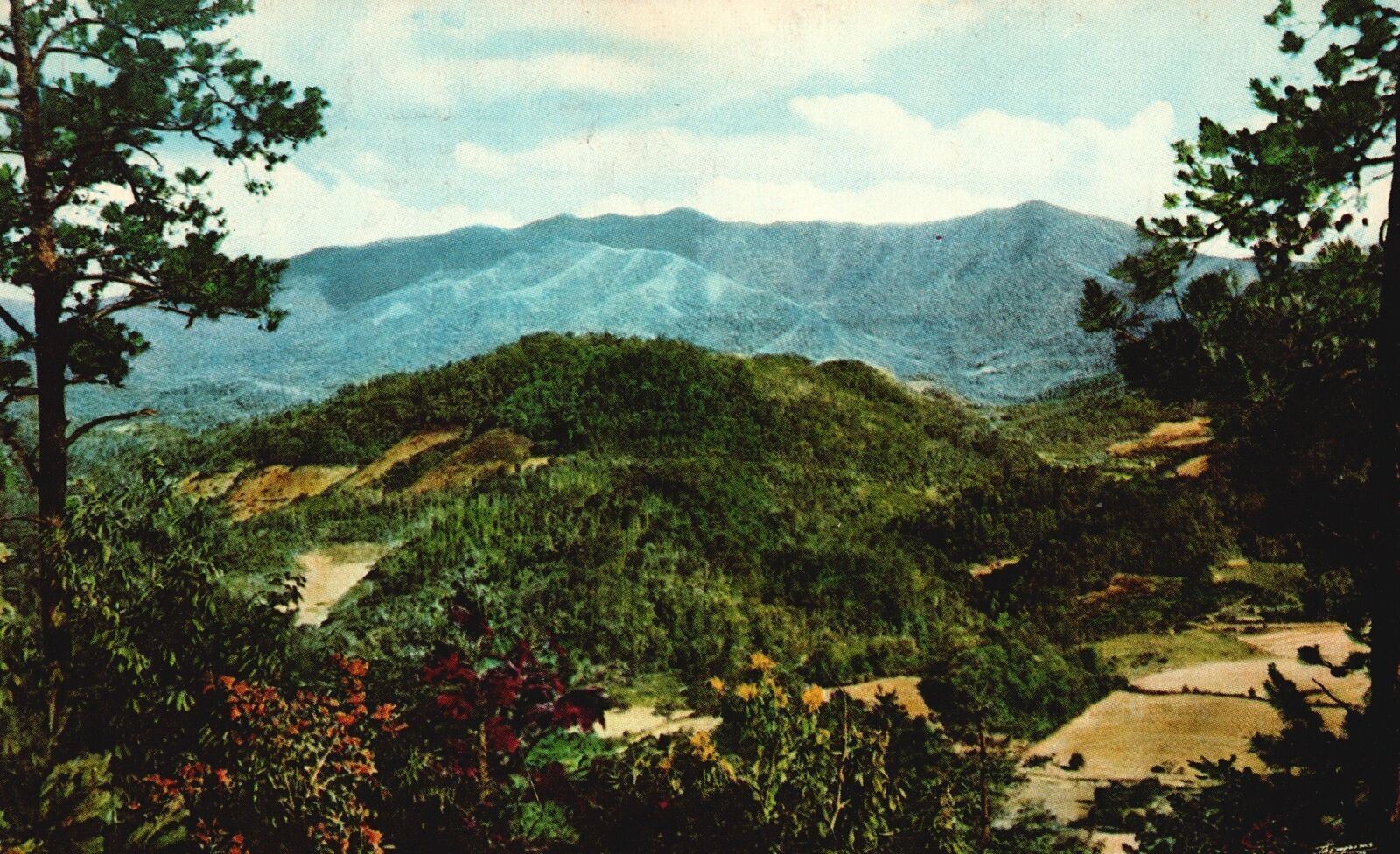 Vintage Postcard 1954 Mt. Le Conte Great Smoky Mountain National Park ...