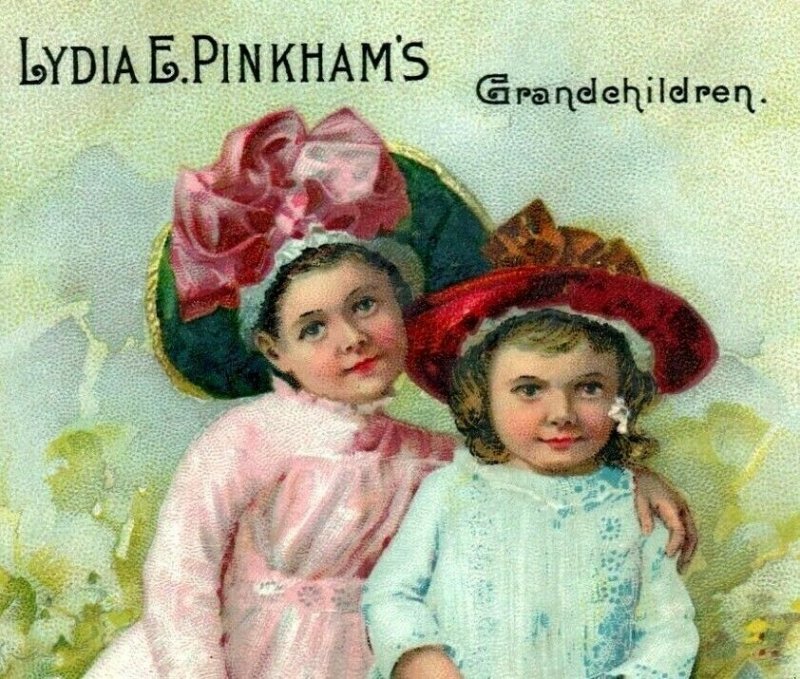 1880s Lydia Pinkham's Grandchildren P.G. Bosworth Fairgrove MI Quack ...