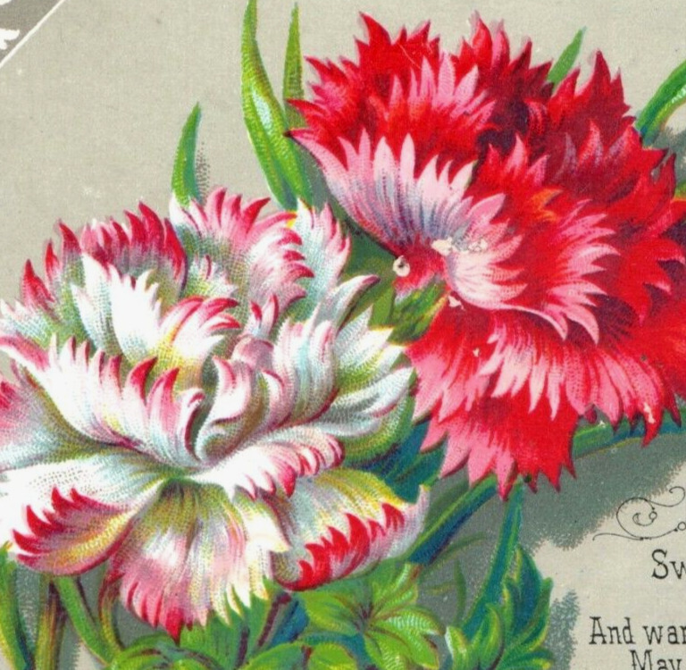 1880s Victorian Christmas Card Lovely Poem Carnations #6A | Ephemera ...