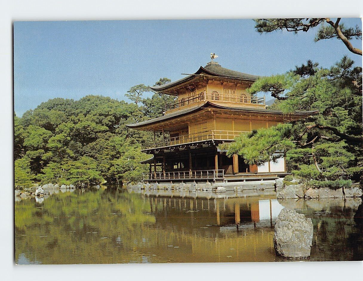 Postcard The Golden Pavilion Of Rokuonji Temple In Fresh Green, Kyoto ...