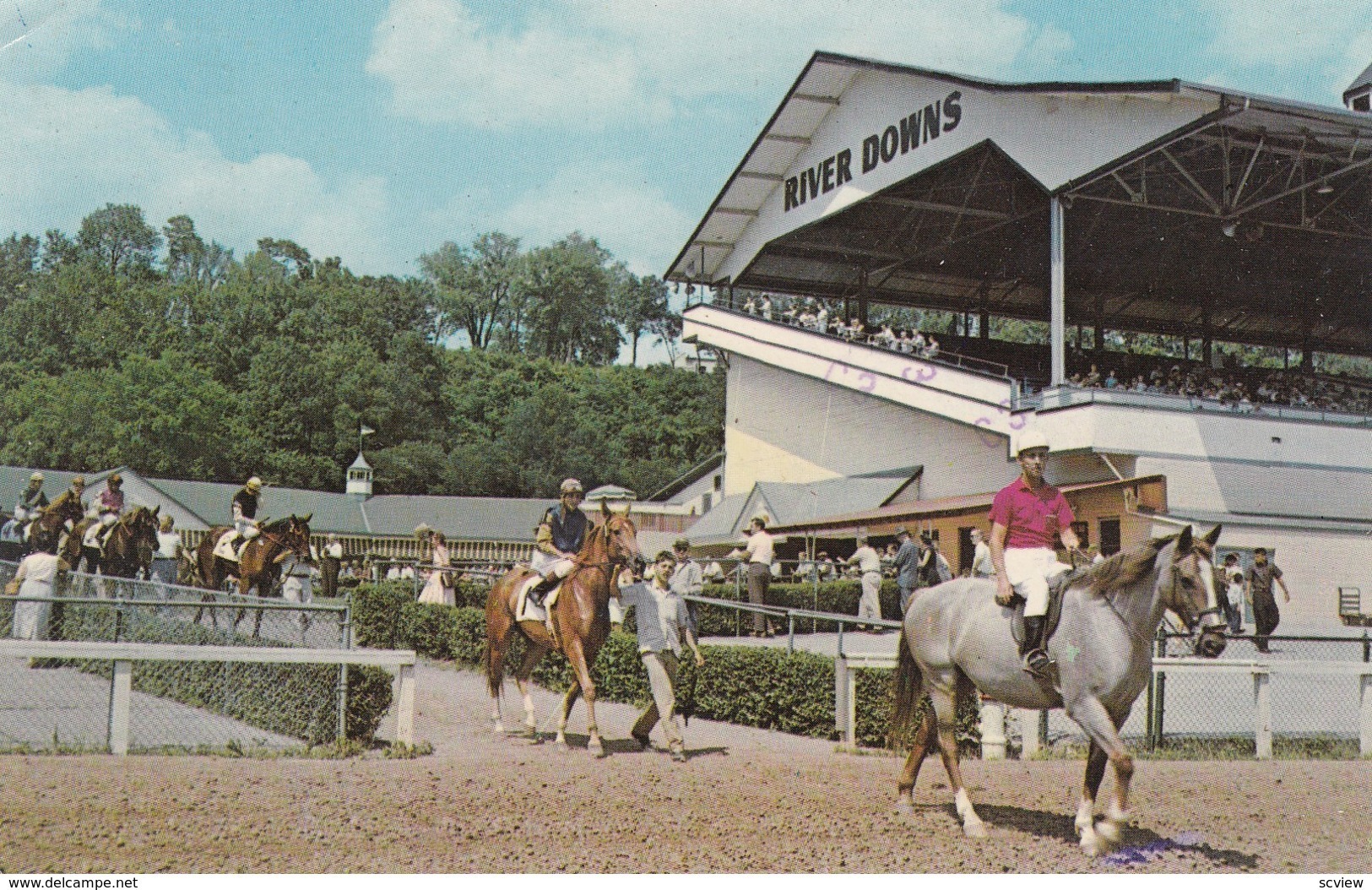 CINCINNATI , Ohio , 1976 ; River Downs Horse Track | Topics - Animals - Horses, Postcard ...