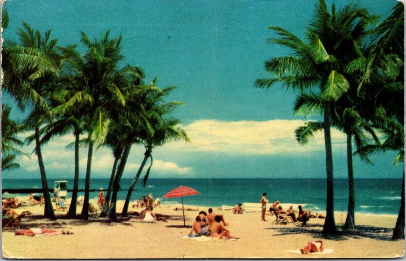 c.1950's Tropical Florida Beach Scene Bathing Suits Palm Trees FL ...
