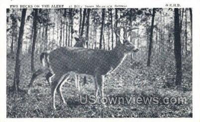 Billy Soose Mountain Retreat - Lake Wallenpaupack, Pennsylvania ...