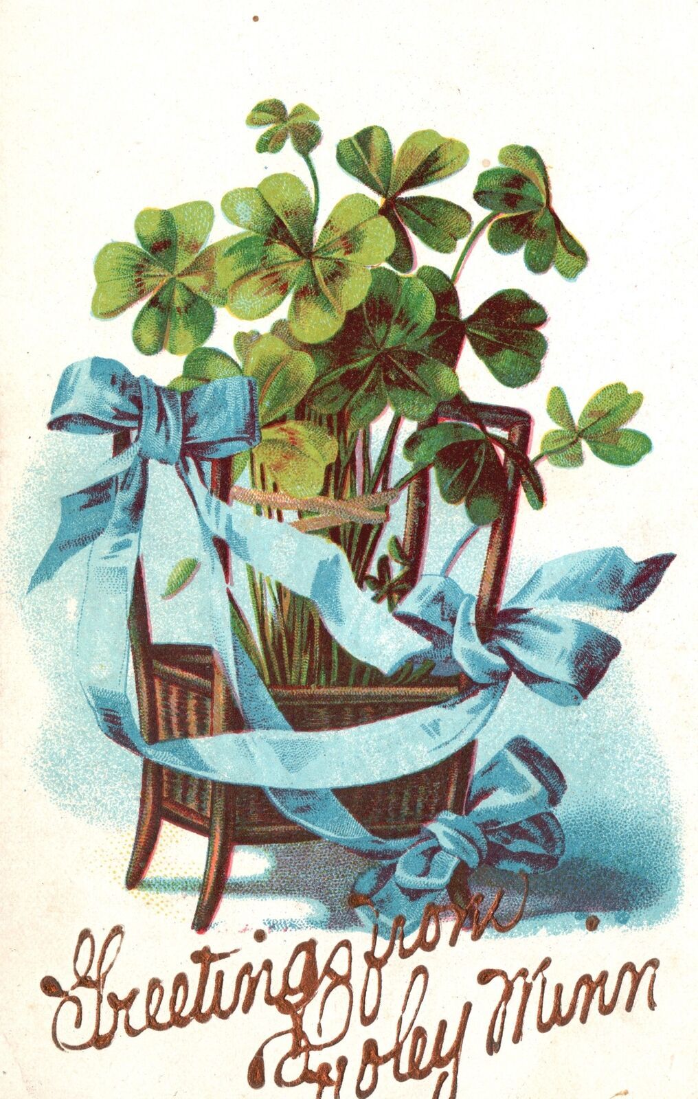 Vintage Postcard 1909 Greetings From Foley Minnesota Shamrock Plants ...