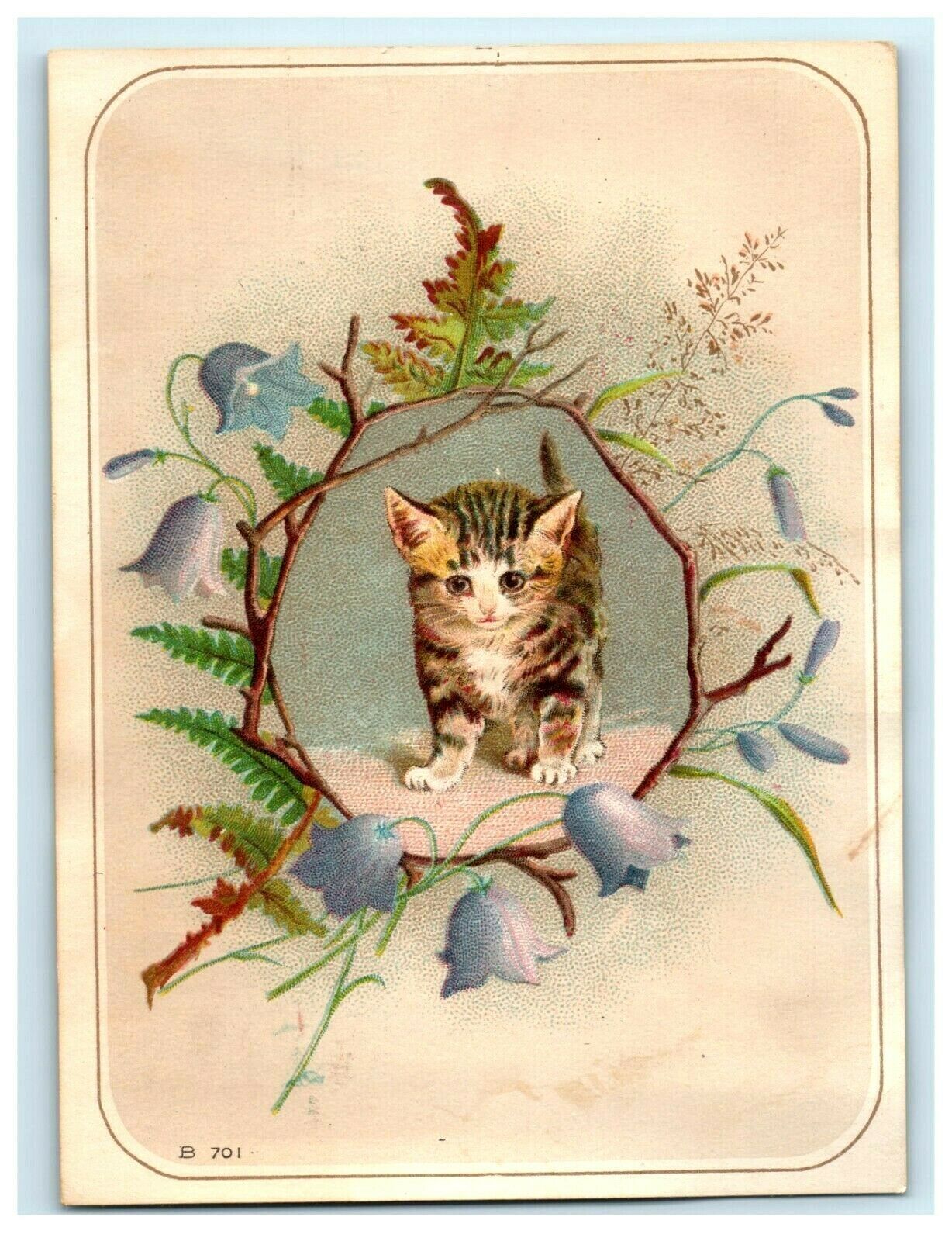 1880s-90s Union Oil Co. Buckeye Refining Co. Adorable Cat Kitten Image ...