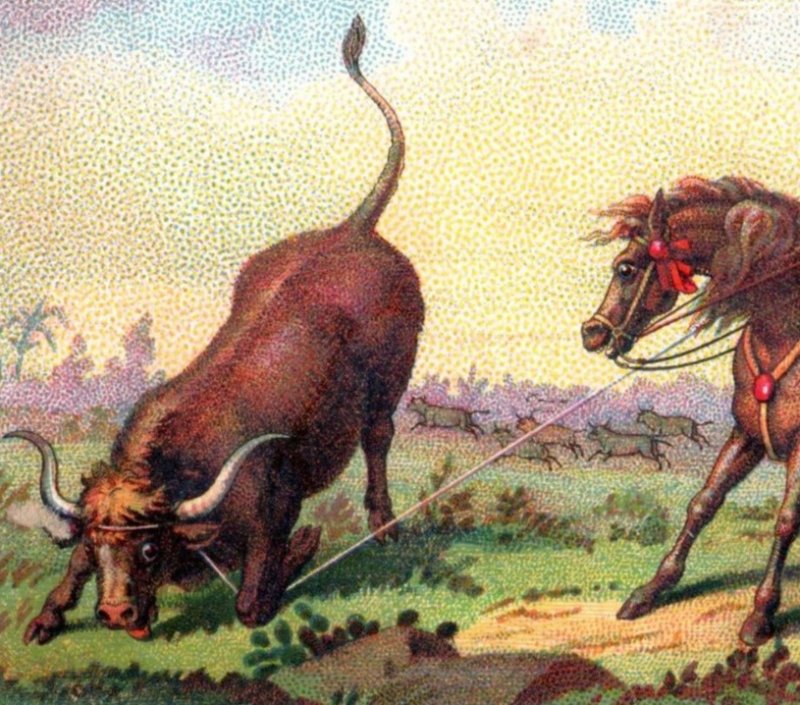 1880s-90s Clark's ONT Thread Los Angeles, CA B.F. Coulter Cowboy Lasso ...