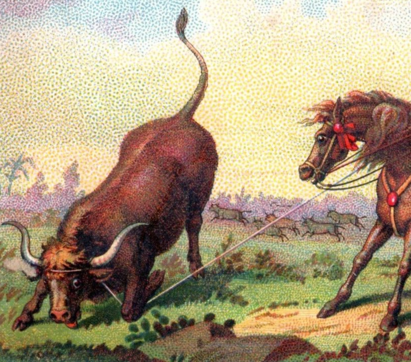 1880s-90s Clark's ONT Thread Los Angeles, CA B.F. Coulter Cowboy Lasso ...