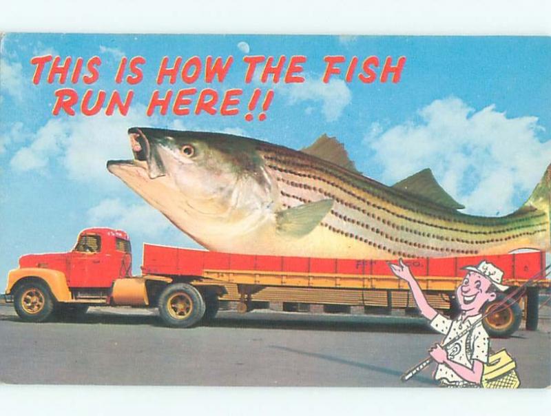 1965 Comic fishing exaggeration FISH ON TRANSPORT TRUCK WITH FISHERMAN ...