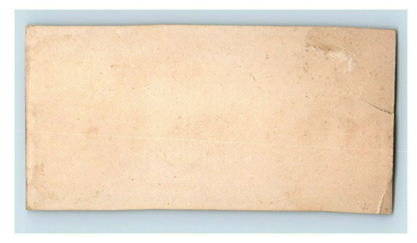 1870's Mrs. H. Sundermeier Confectionery Candy Maker Child & Cute Dog ...