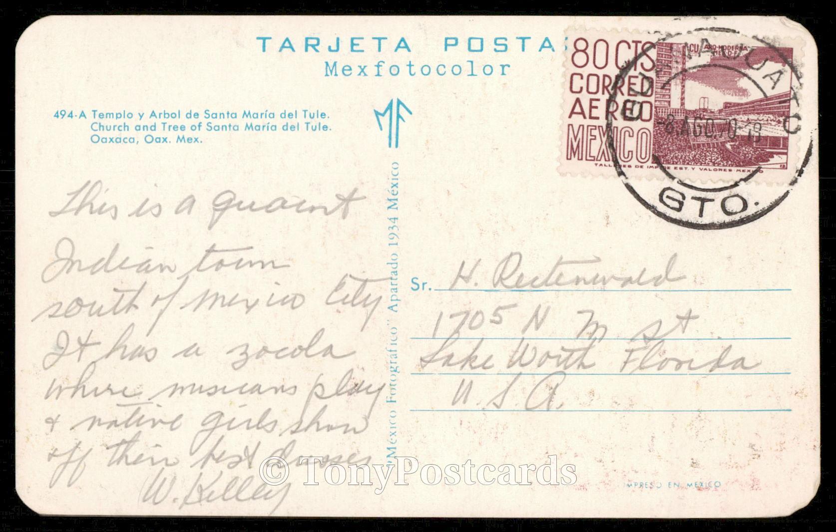 Templo y Arbol de Santa Maria del Tule | Latin & South America - Mexico ...