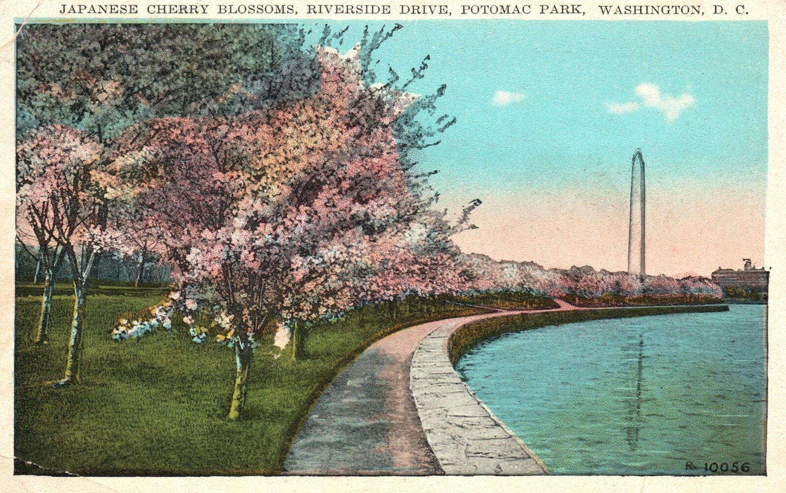 Vintage Postcard 1927 Japanese Cherry Blossoms Riverside Potomac Park W ...