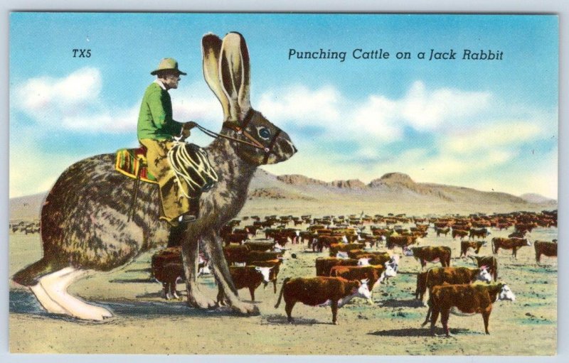 Cowboy Punching Cattle on a Giant Jack Rabbit Humor Vintage Exaggerated ...