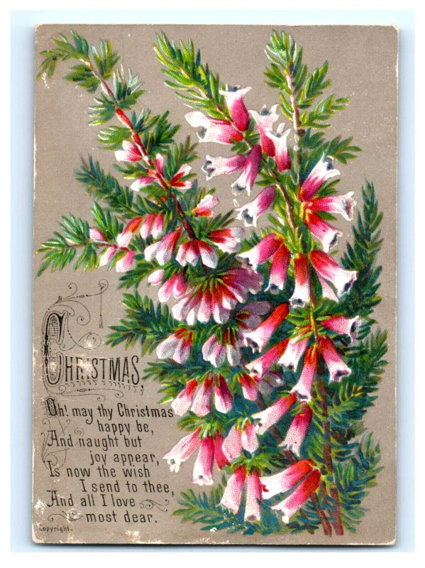 1880 Victorian Christmas Trade Card Beautiful Heath Plant Flowers ...