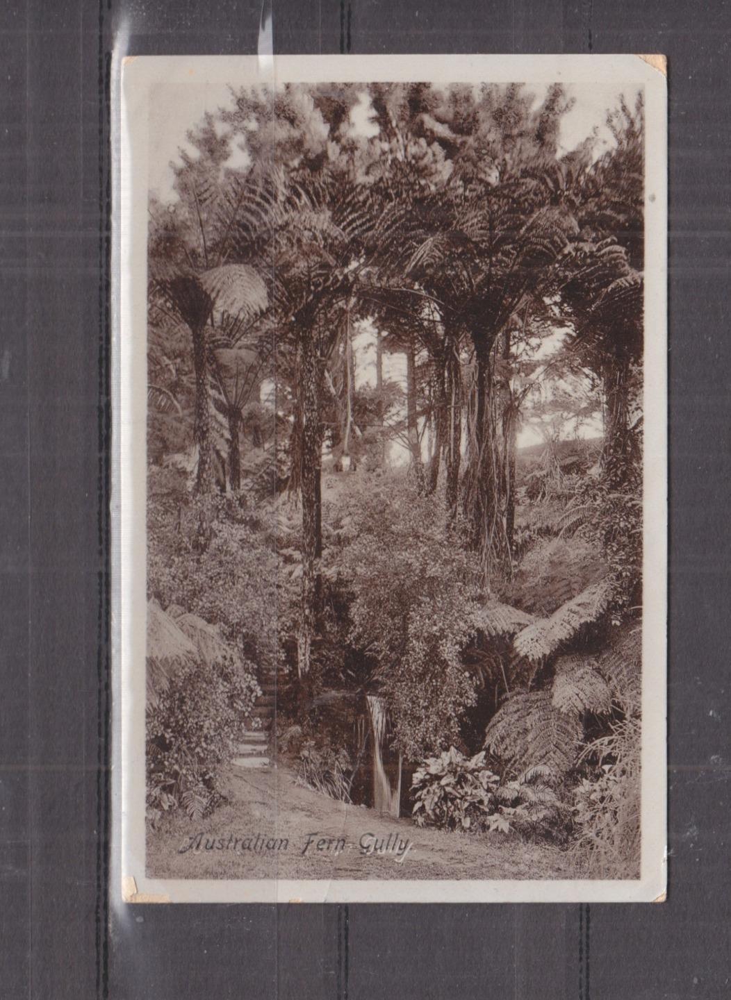 AUSTRALIA, AUSTRALIAN FERN GULLY, c1913 real photo ppc., used ...