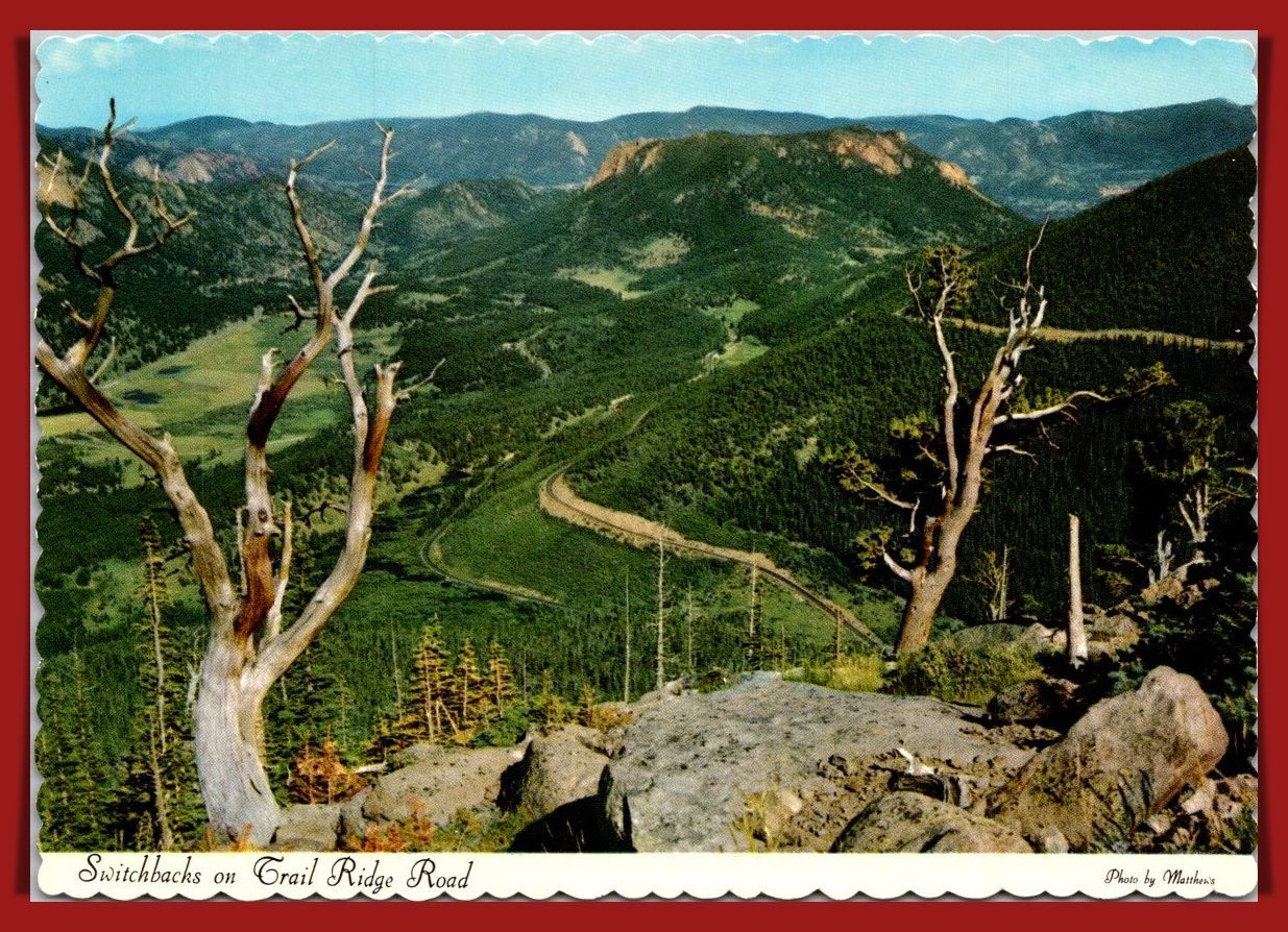 Colorado - Switchbacks On Trail Ridge Road - [CO-475X] | United States ...